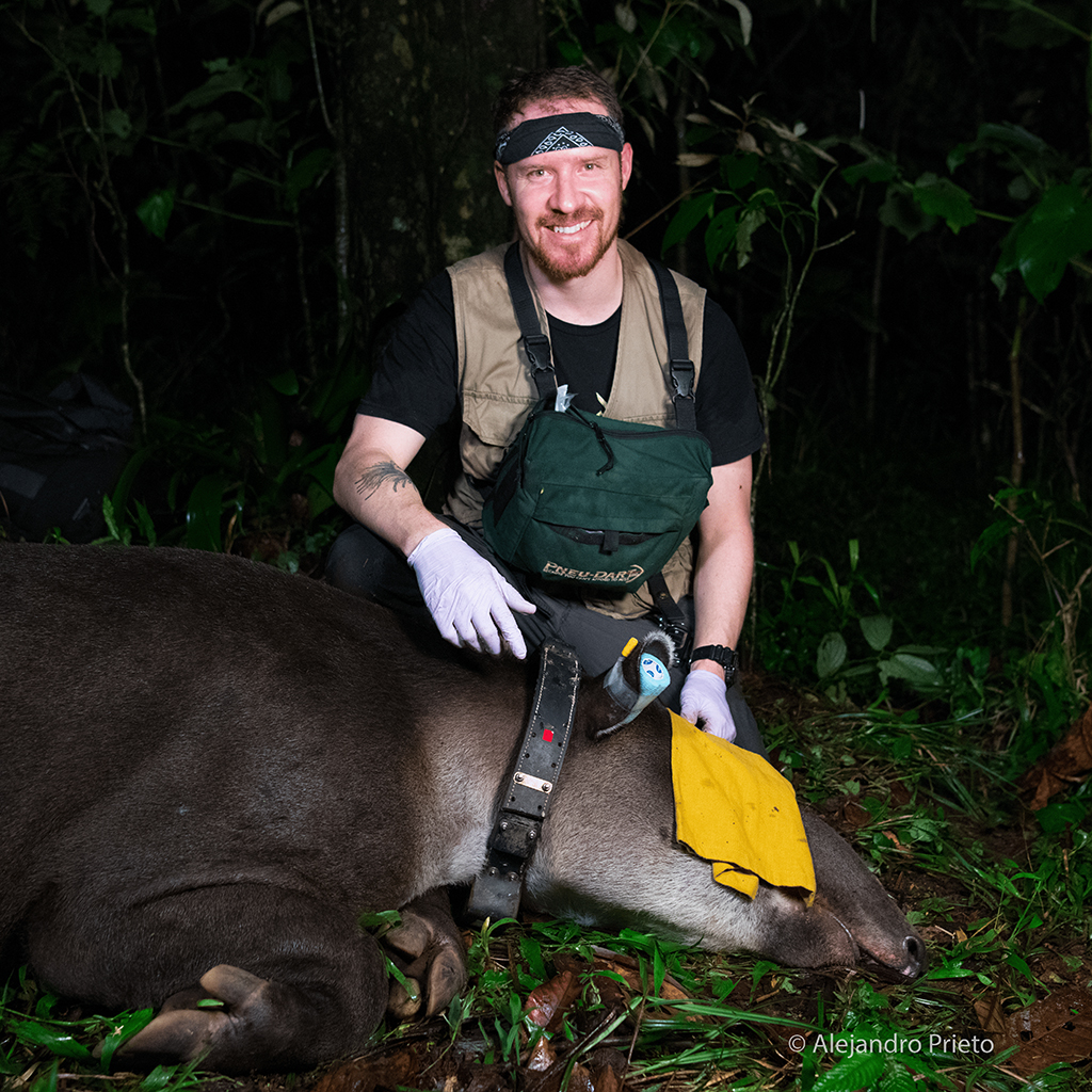 Team: Dr. Jorge Rojas Jiménez DVM, PhD | Tapir Vet
