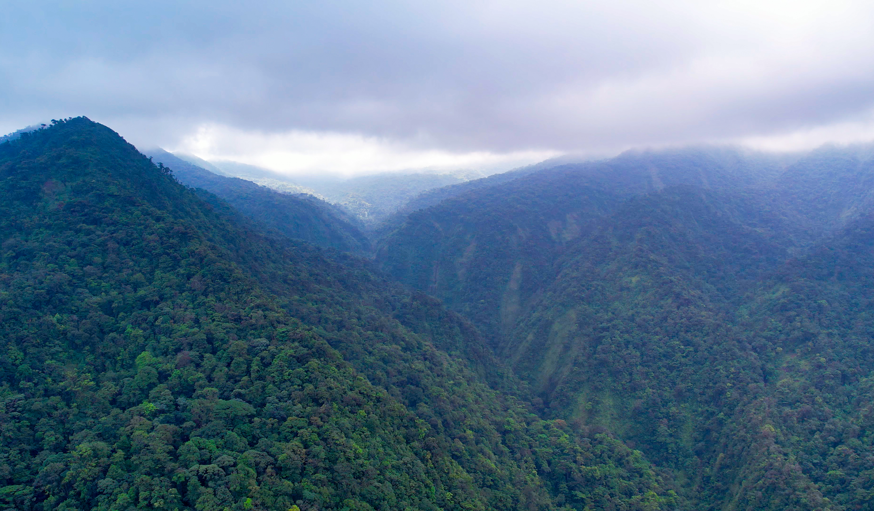 What makes the Cordillera de Guanacaste so special? | Costa Rica ...